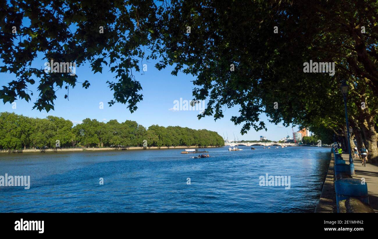 River Thames, Putney, path by river bridge and trees, sunny day rowers ...