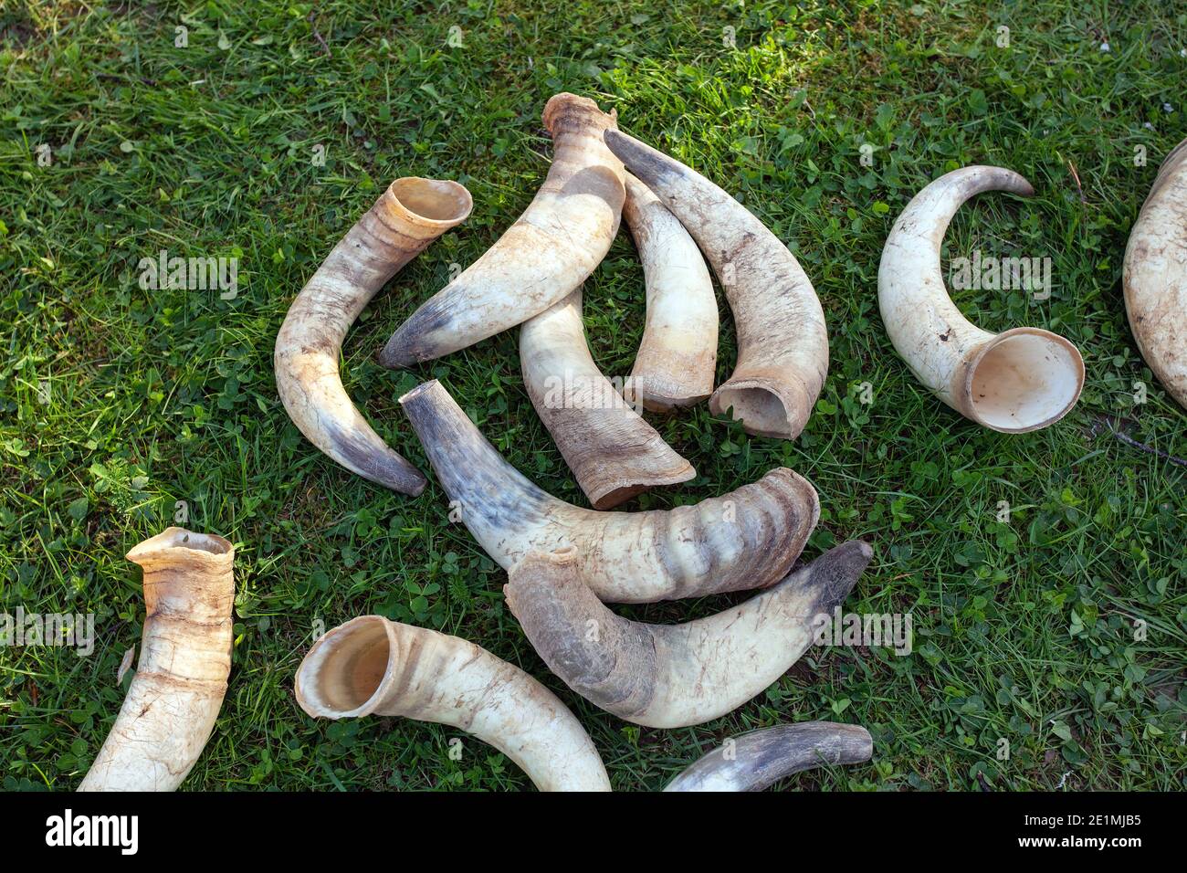 Blowing horn hi-res stock photography and images - Alamy