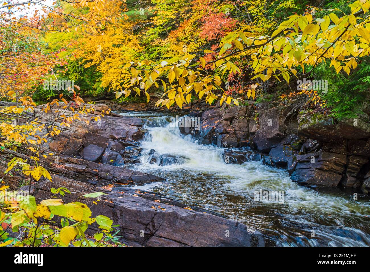 Oxtongue rapids provincial park hi-res stock photography and images - Alamy