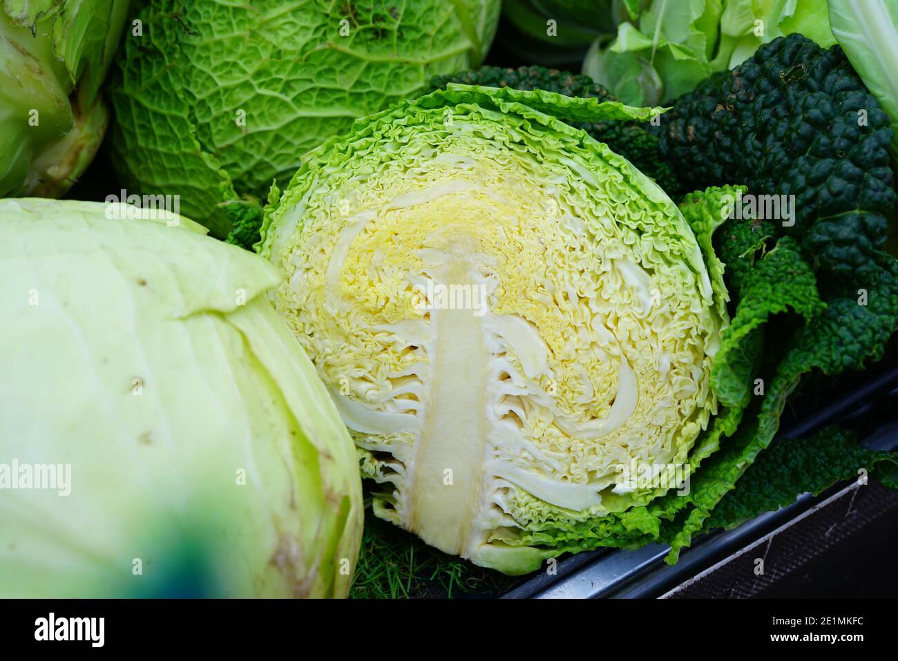 Organic green Savoy cabbage chou pomme at a French farmers market cut ...