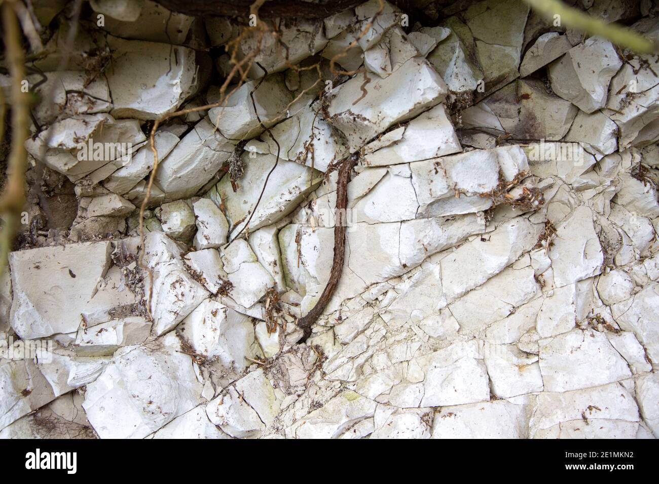 Close up of chalk rock showing bedding planes, joints, faults, biotic ...