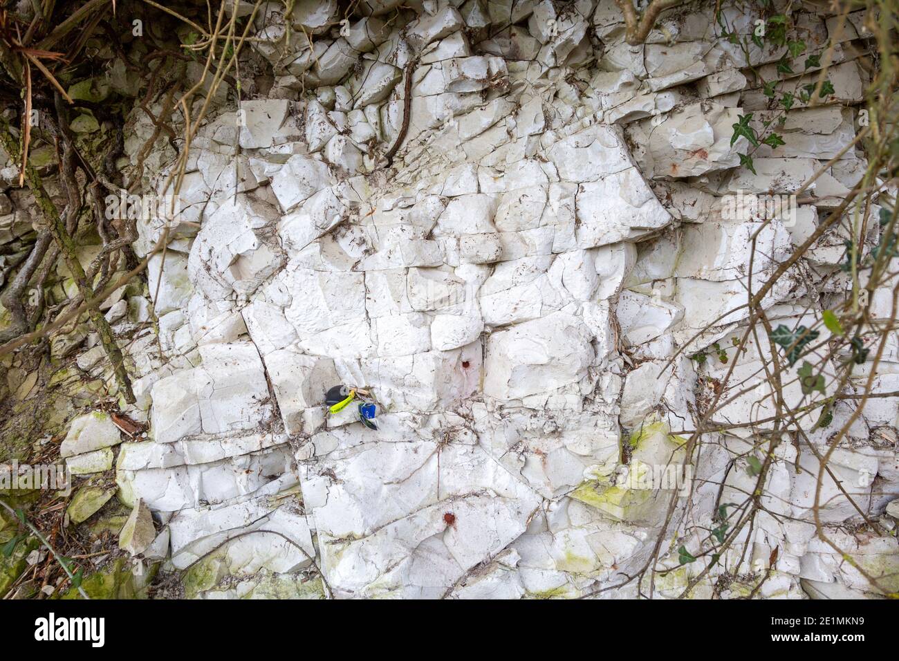 Biotic weathering tree roots hi-res stock photography and images - Alamy