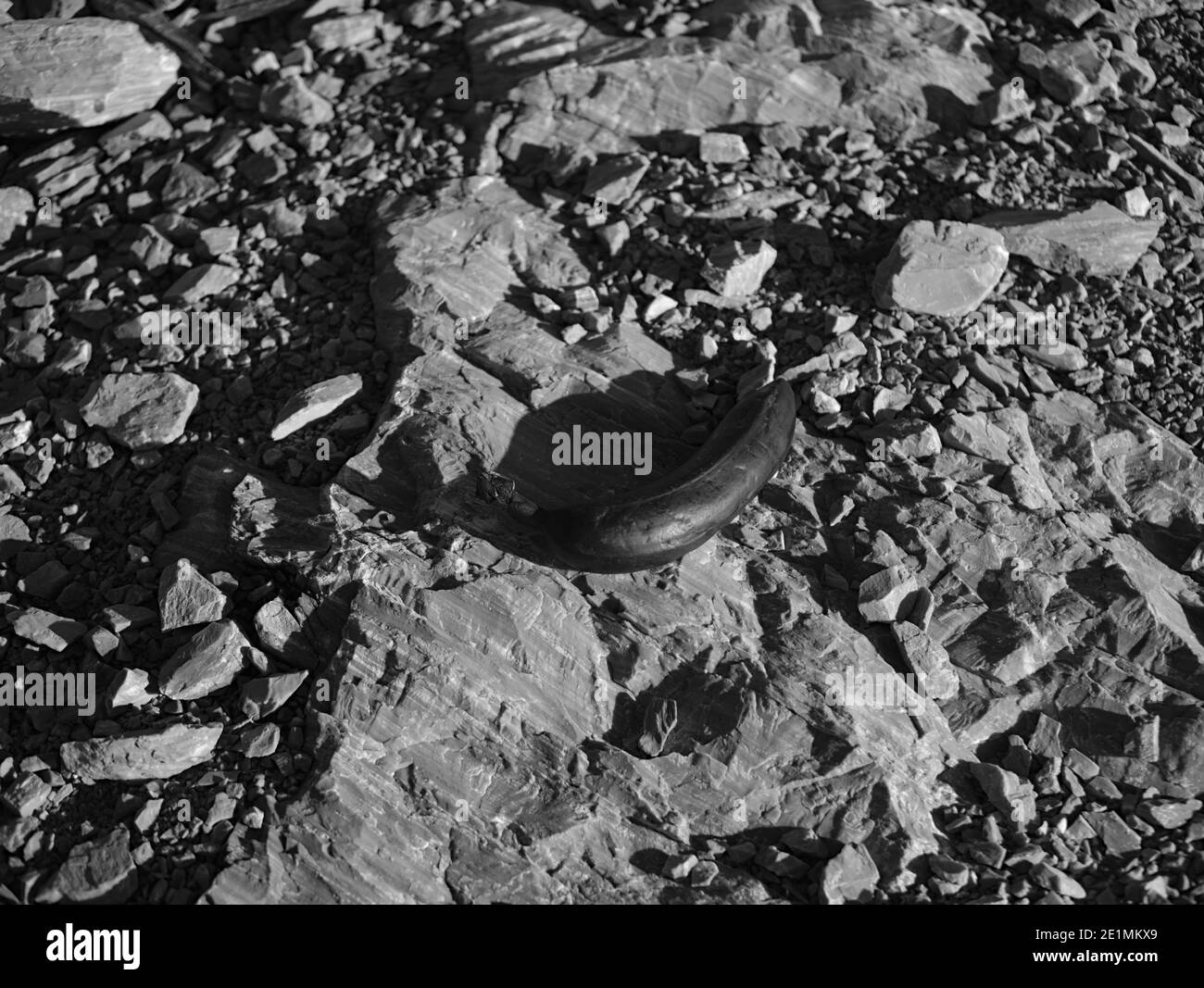 Moon like rocks Black and White Stock Photos & Images - Alamy