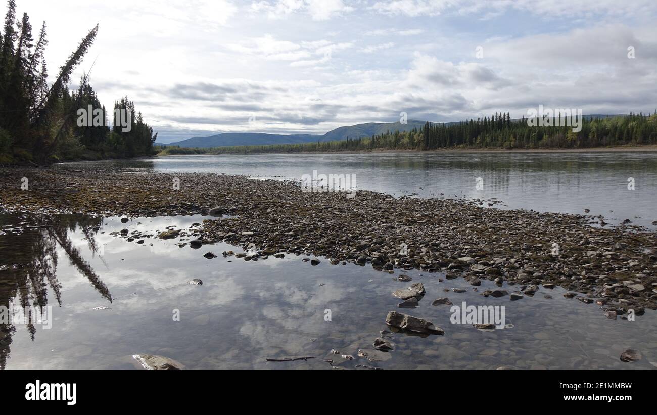 Alaska wildlife denali river hi-res stock photography and images - Alamy