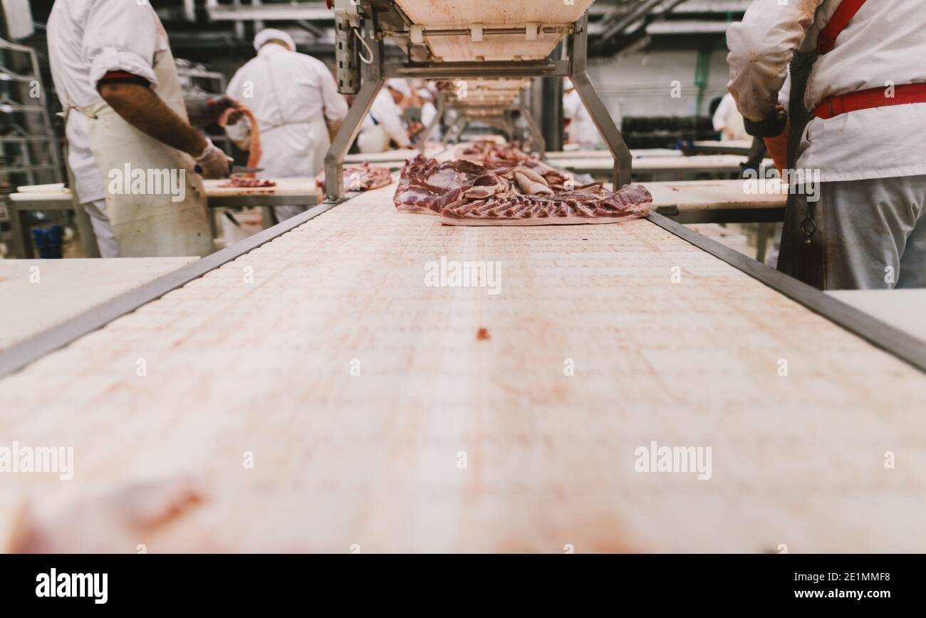 Poultry slaughterhouse food processing hi-res stock photography and ...