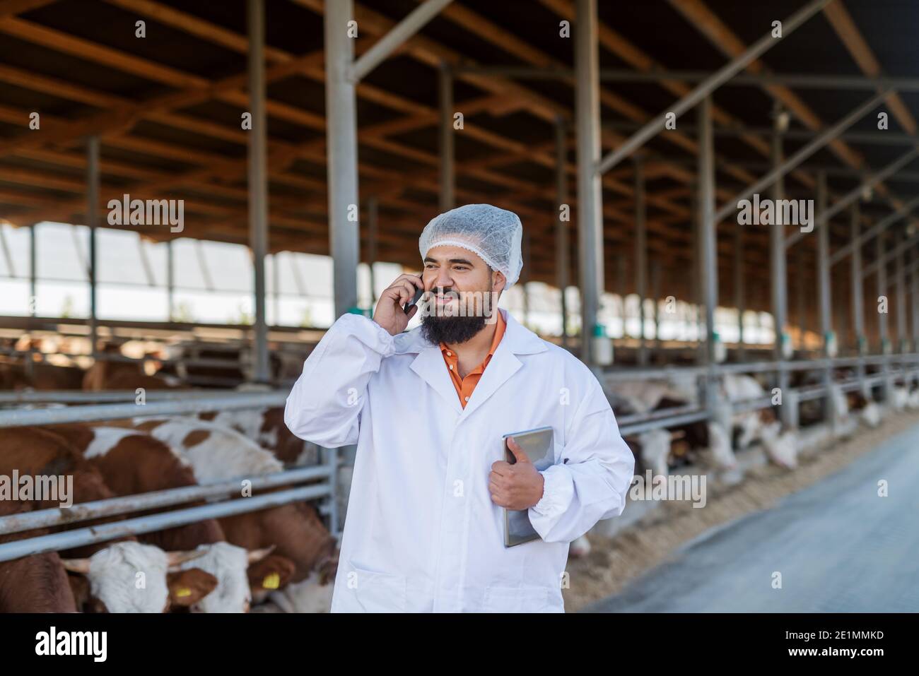 Farmer checking on his cattle hi-res stock photography and images - Alamy