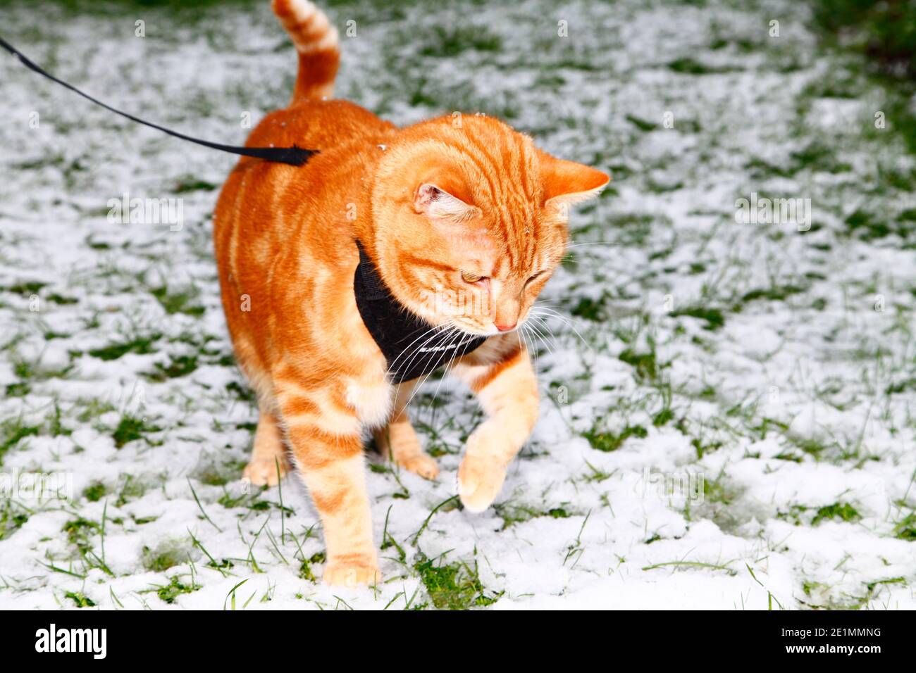 Walk In Freezer High Resolution Stock Photography and Images - Alamy