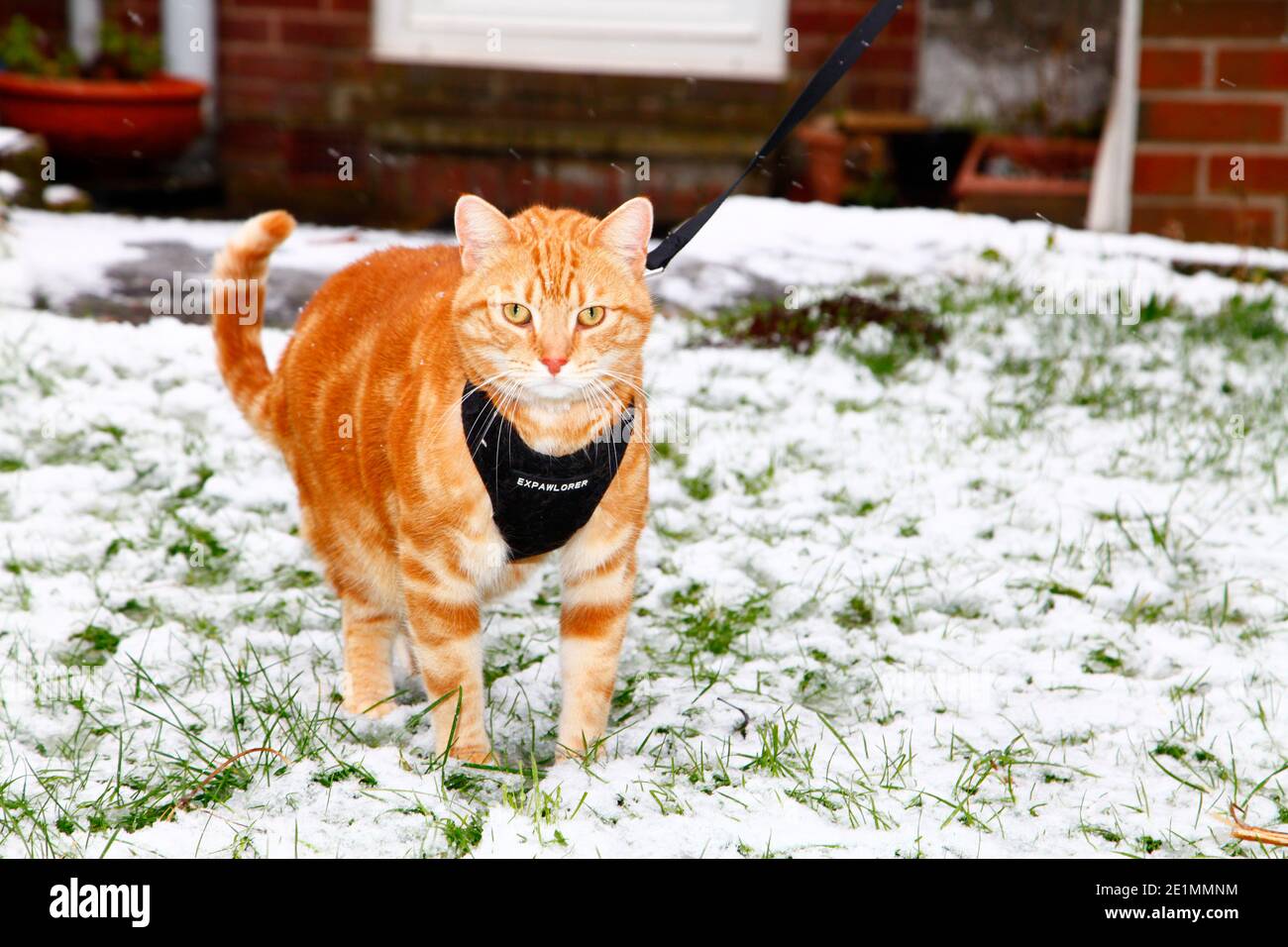 Walk In Freezer High Resolution Stock Photography and Images - Alamy