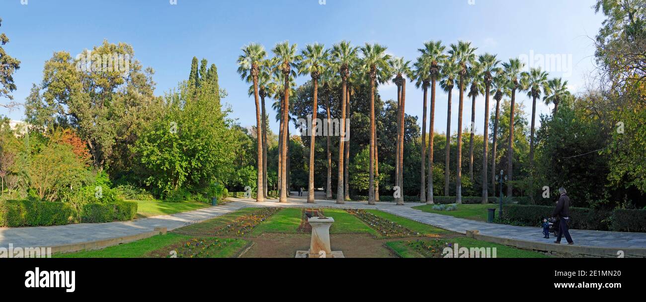 Greece Athens Athen National Garden Palm trees Stock Photo - Alamy