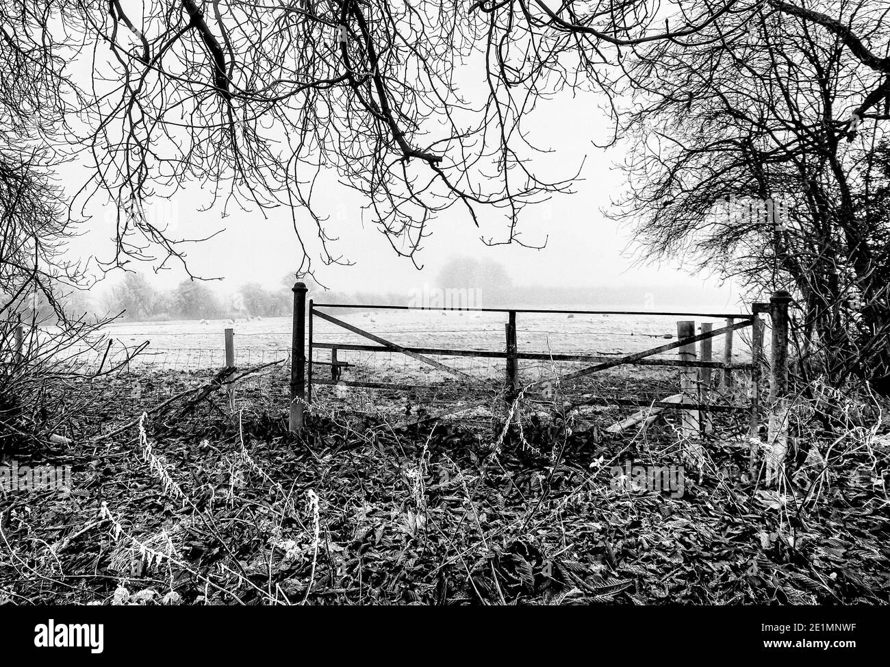 Clifford norton Black and White Stock Photos & Images - Alamy