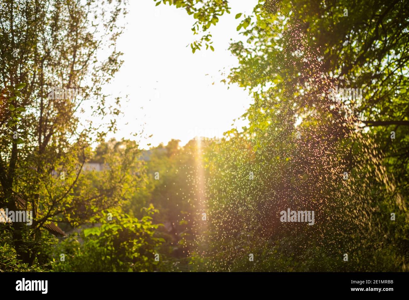 Beautiful sprinkle background hi-res stock photography and images - Alamy