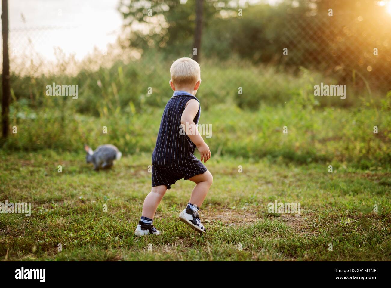 Picture of a small boy playing in a yard with his rabbit Stock Photo ...