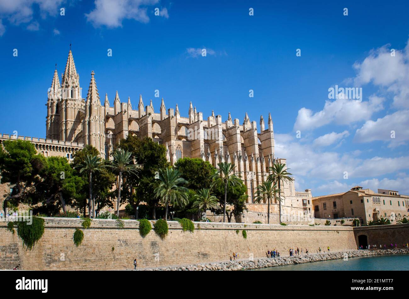 Catedral basílica de santa maria de mallorca hi-res stock photography ...