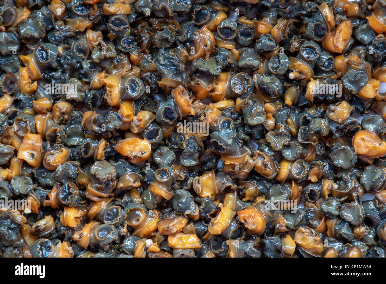 Ghongha hi-res stock photography and images - Alamy