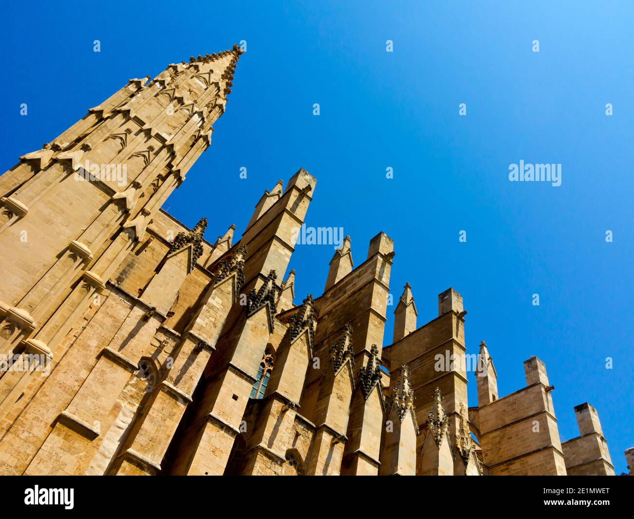 The Cathedral of Santa Maria of Palma a Gothic Roman Catholic cathedral ...