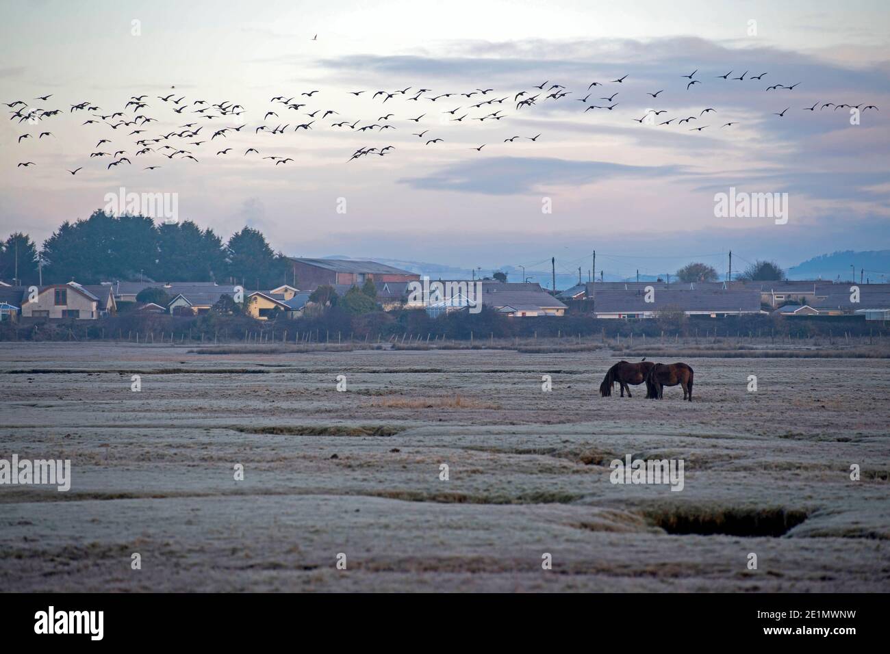 The three degrees hi-res stock photography and images - Alamy