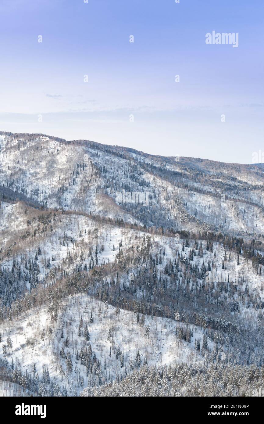 Gentle slopes of forest hills are covered with first snow. View of ...