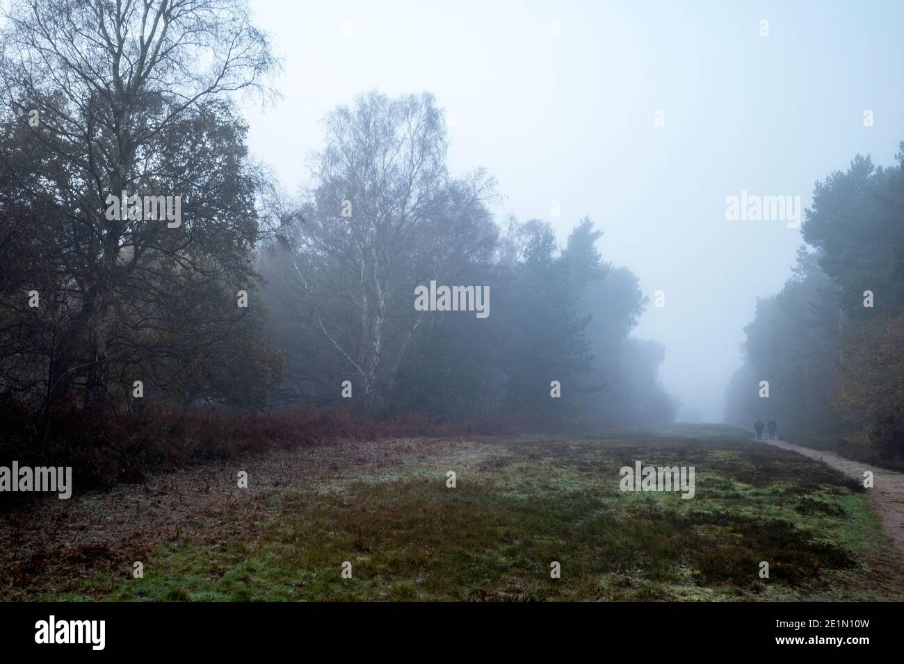 Fog sutton heath suffolk uk hi-res stock photography and images - Alamy