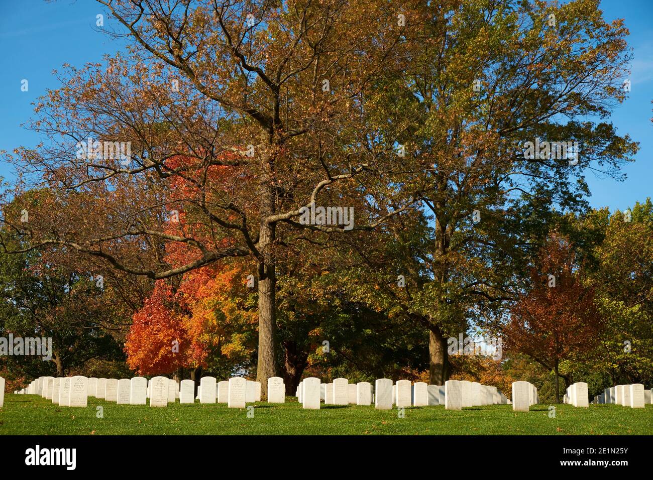 Bright red, orange leaves of fall, autumn over identical gravestones ...