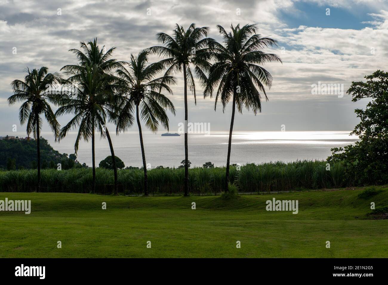 Landscape in Martinique. Martinique is a French island located in the ...