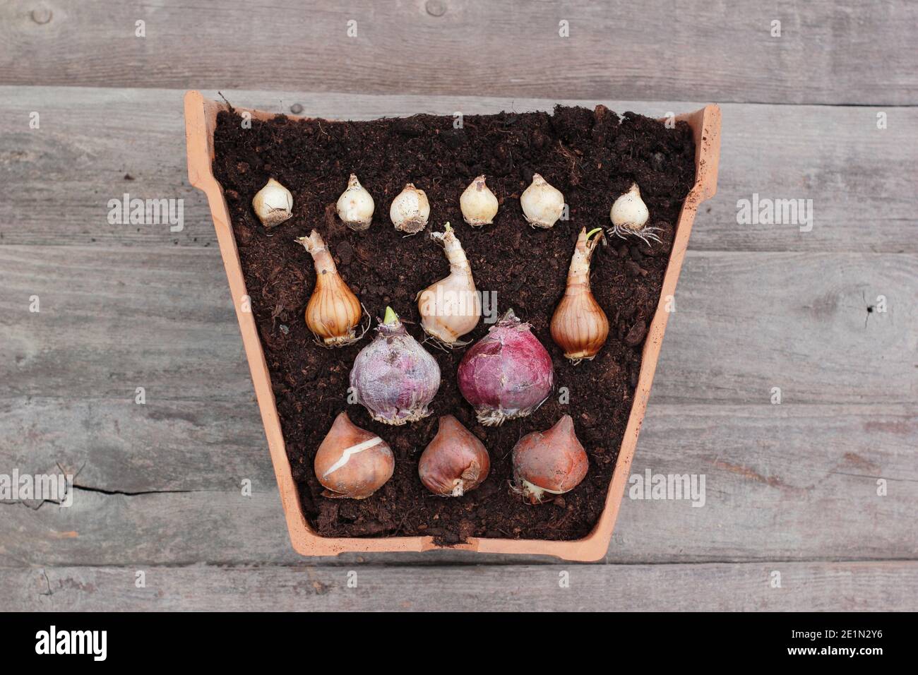 Cross Section Of Flower Pot High Resolution Stock Photography and ...