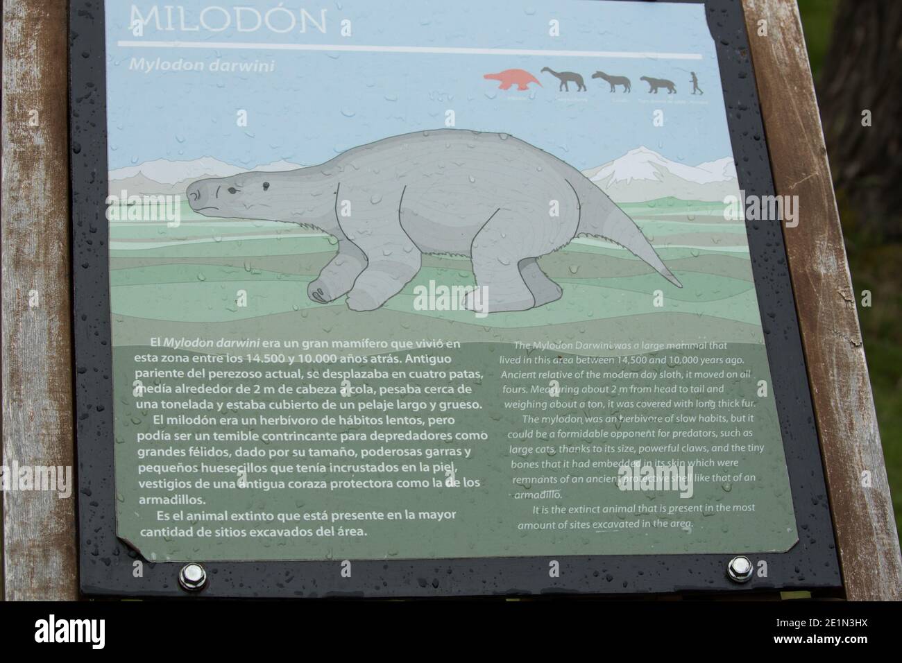 Milodon Cave, near Puerto Natales Patagonia, Chile Stock Photo - Alamy