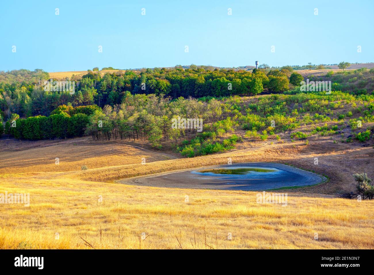 Summer Scenery with Dried up Pond Stock Photo - Alamy