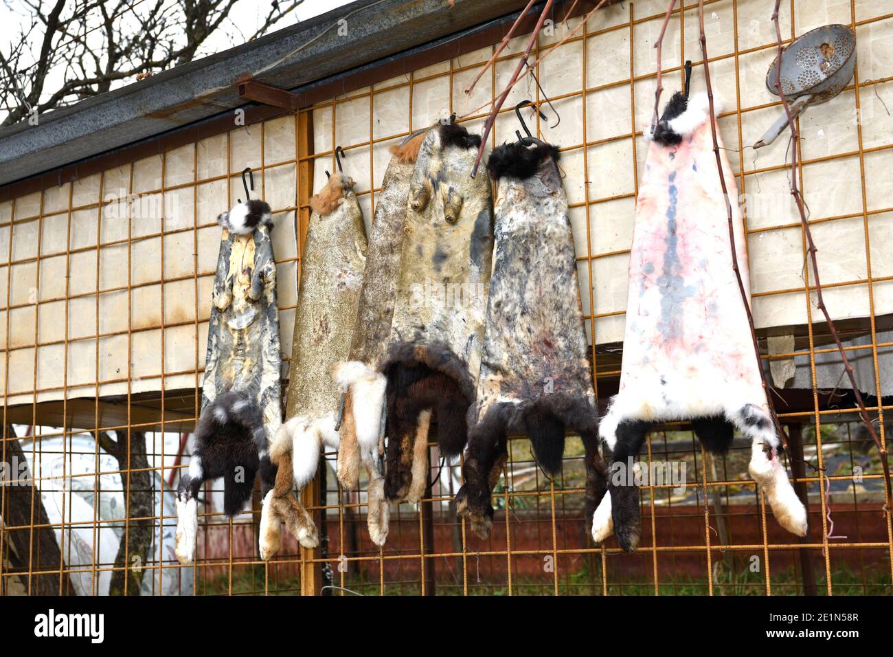 Flaying hair hi-res stock photography and images - Alamy
