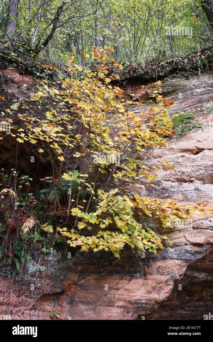 Gutmanis cave latvia hi-res stock photography and images - Alamy