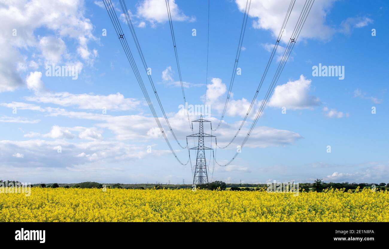 Electricity pylons and overhead lines of the Transmission and ...