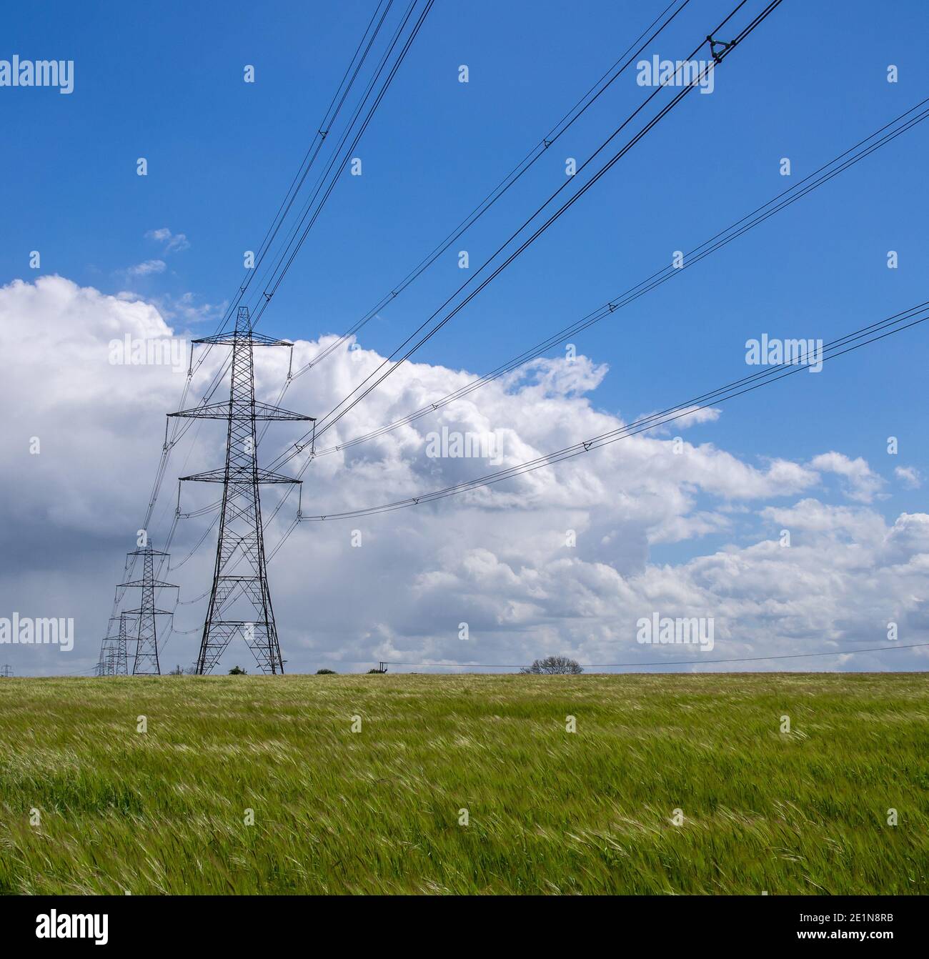 Electricity pylons and overhead lines of the Transmission and ...