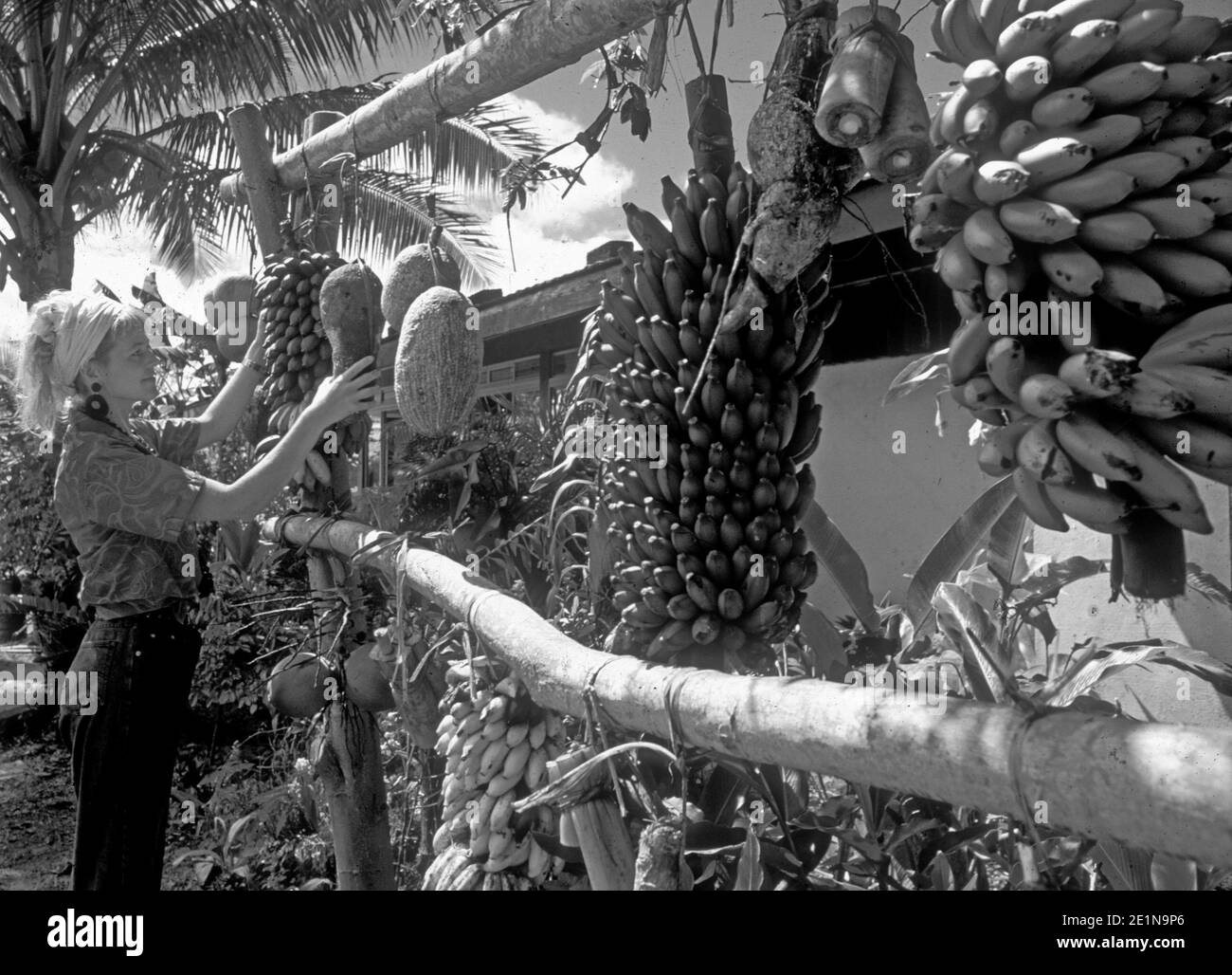 A fruit and vegetable farmer woman on Bora Bora Island Stock Photo - Alamy