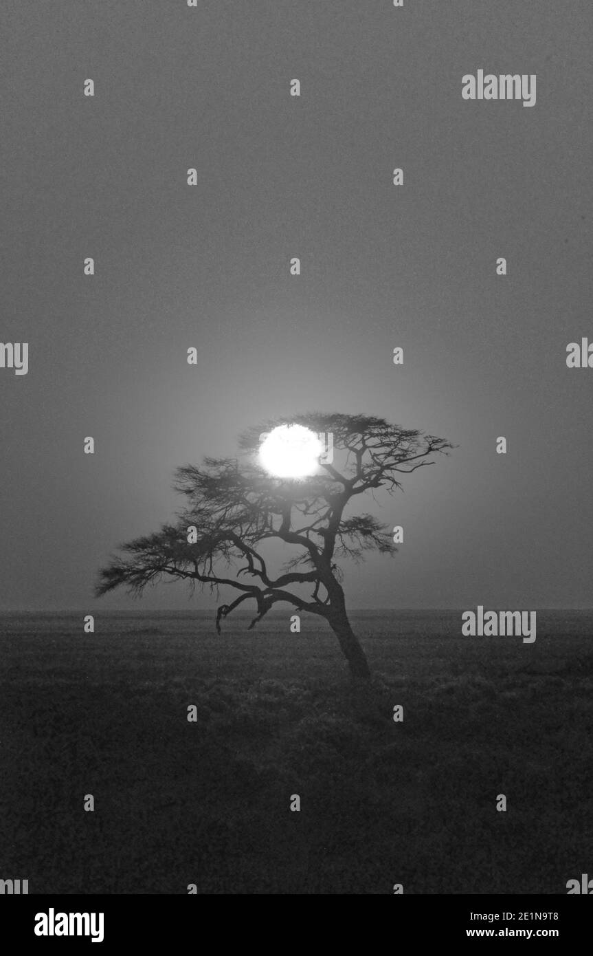 Sunball hi-res stock photography and images - Alamy