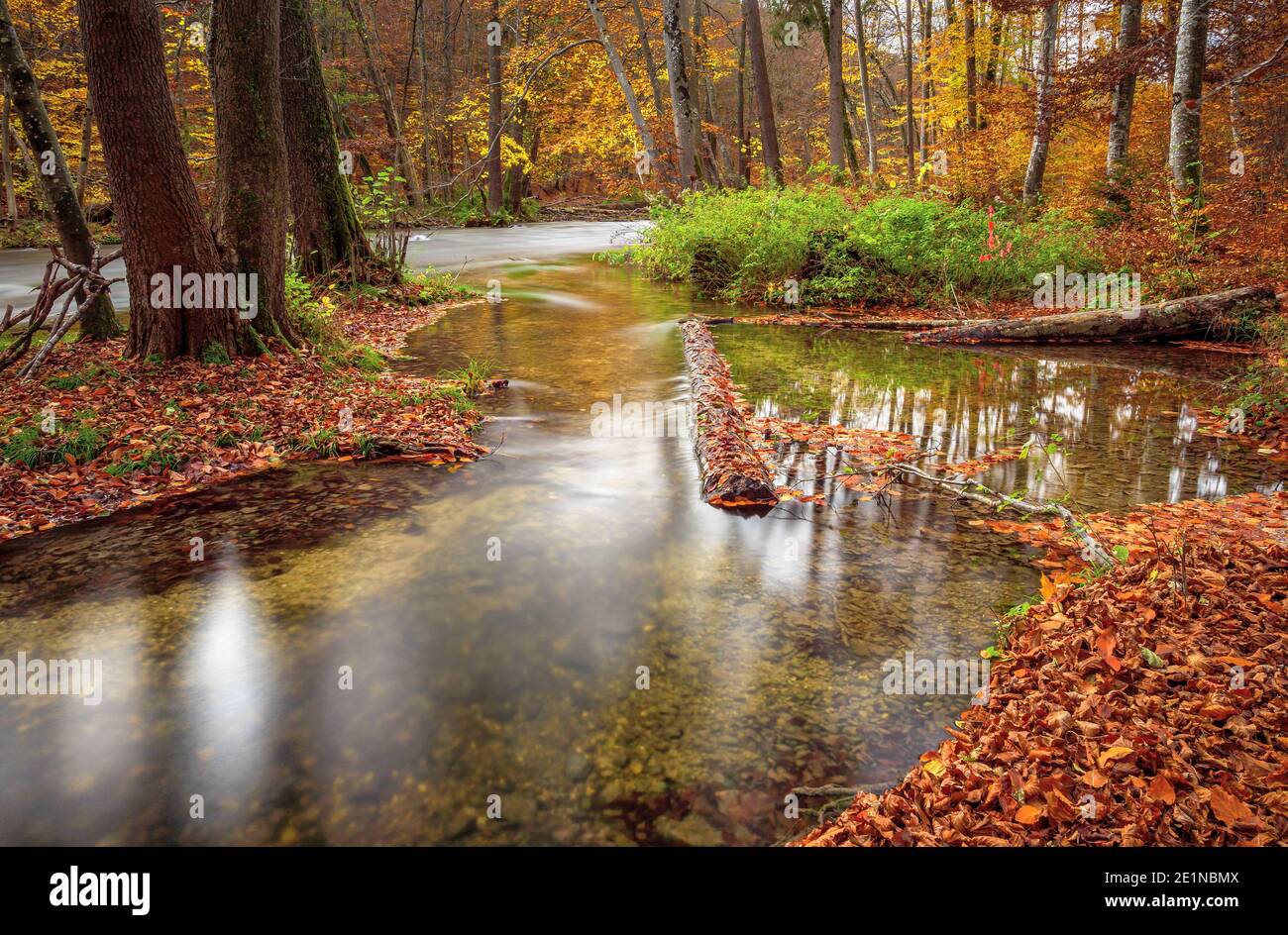 River flowing water würm würmtal hi-res stock photography and images ...