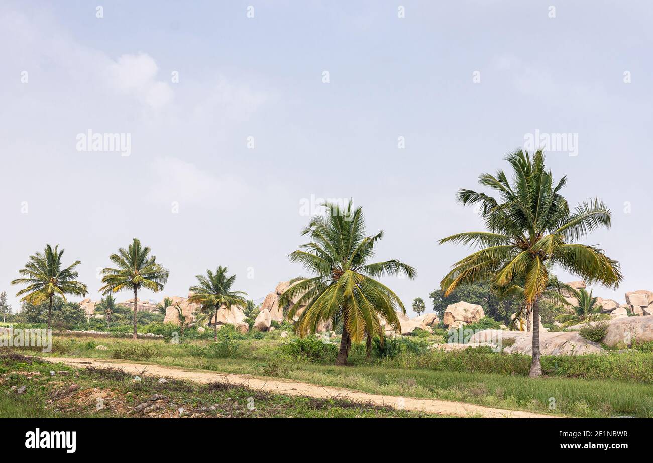 Hampi, Karnataka, India - November 5, 2013: Lakshmi Narasimha Temple ...