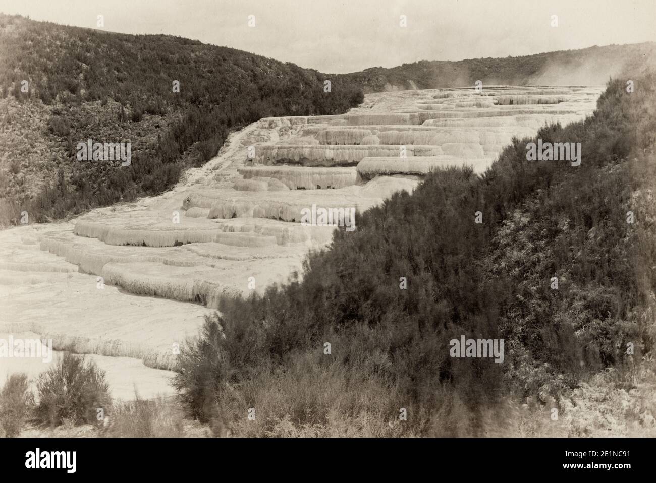 19th century vintage photograph: Pink or White Terrace, Rotomahana, New ...