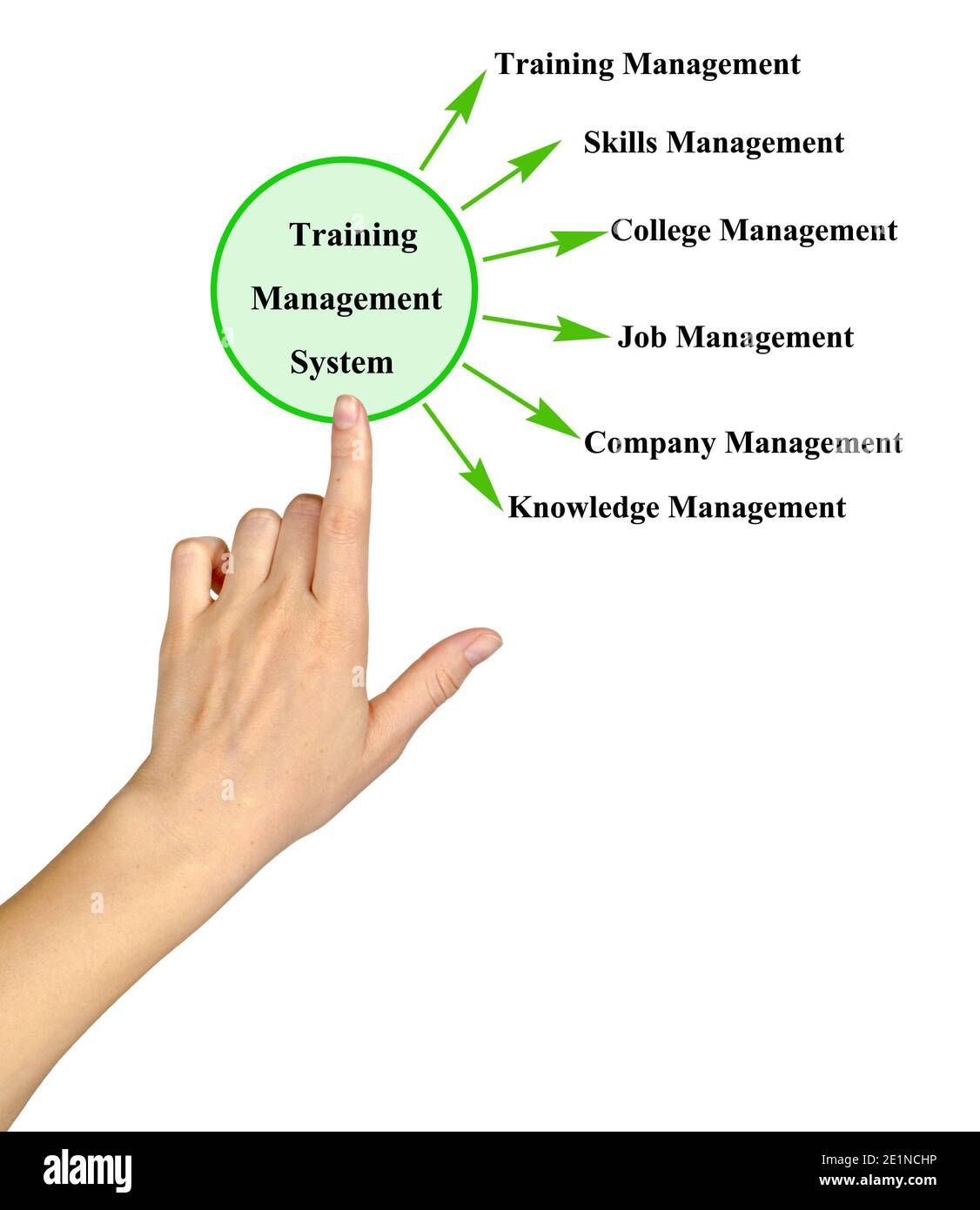 Components of Training Management System Stock Photo - Alamy