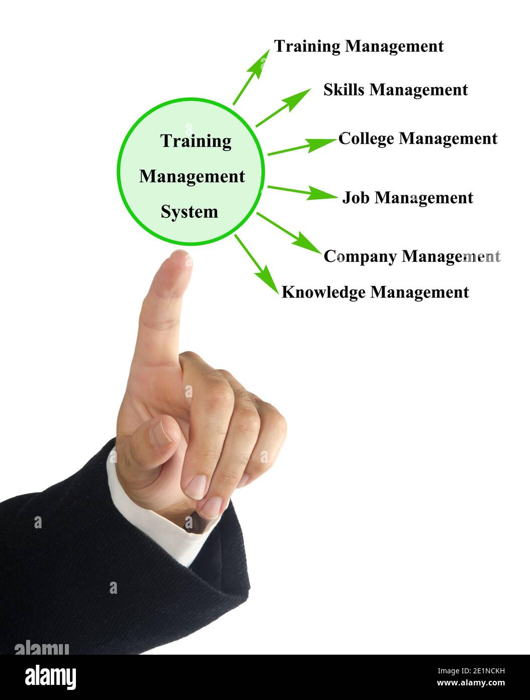 Components of Training Management System Stock Photo - Alamy