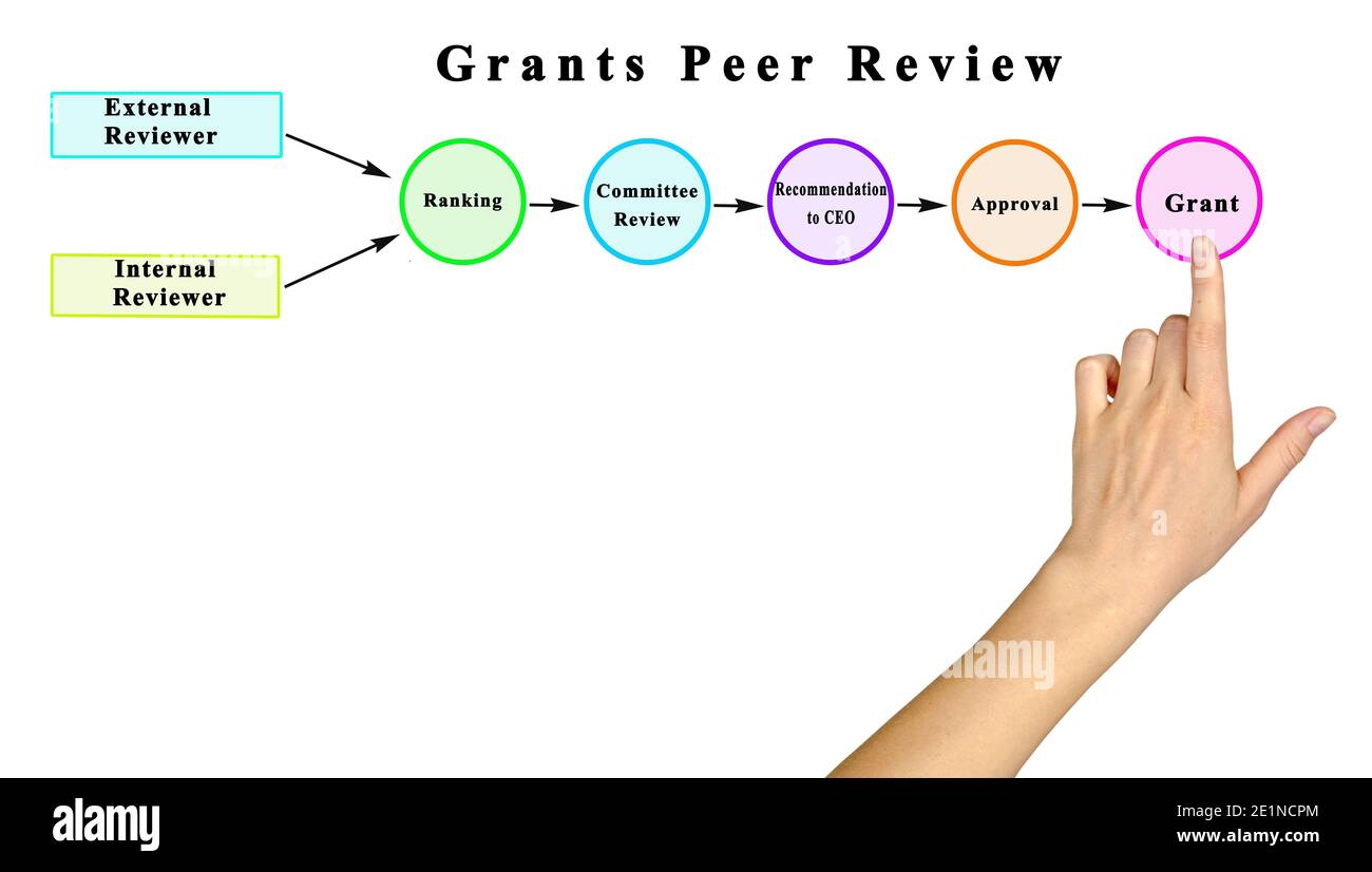 Components of Grants Peer Review Process Stock Photo - Alamy