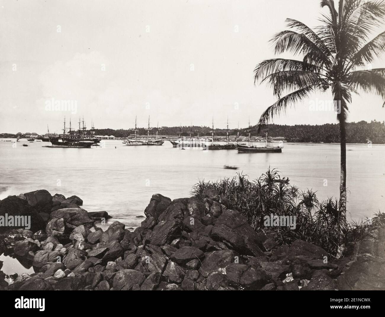 19th century vintage photograph: boats at anchor, Point de Galle ...