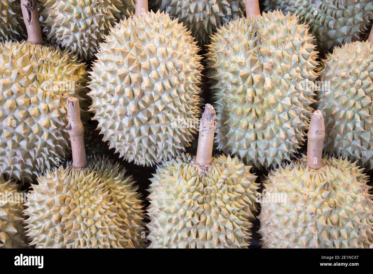 Close up durians hi-res stock photography and images - Alamy