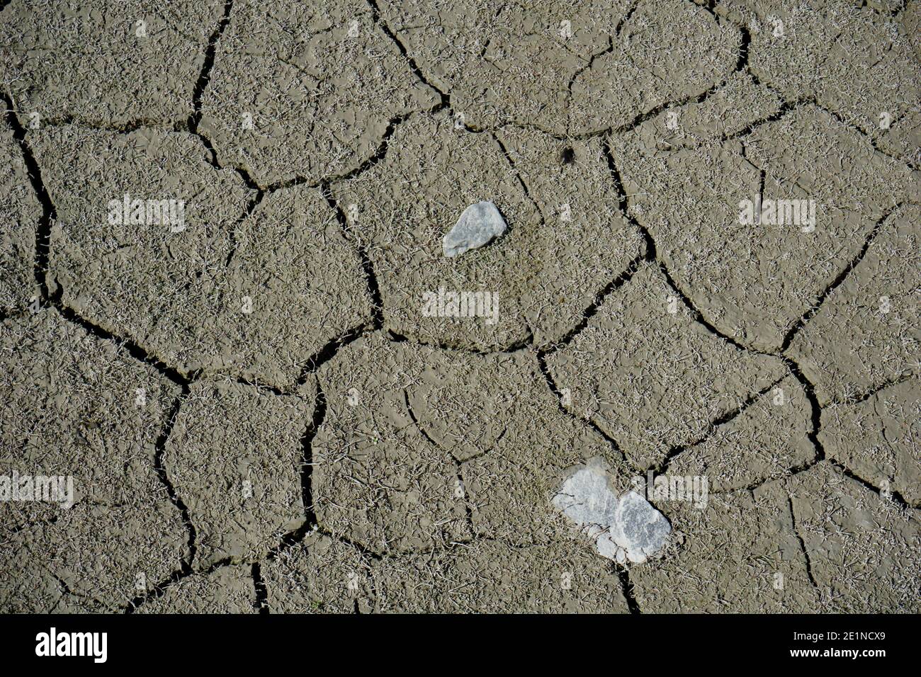 Dry parched and cracked in typical patterns land of riverbed in drought ...