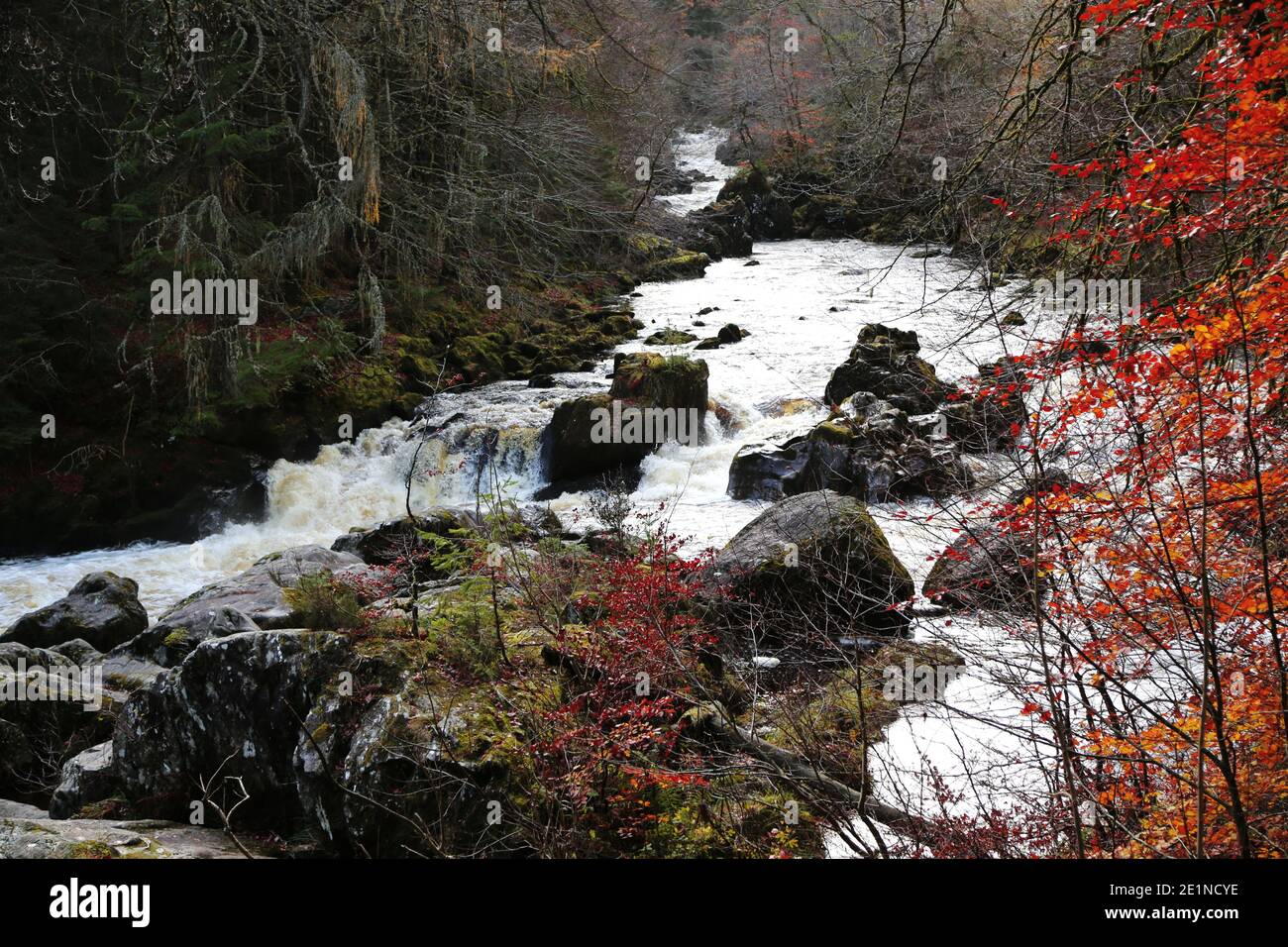 The Hermitage site on the banks of the River Braan in Craigvinean ...
