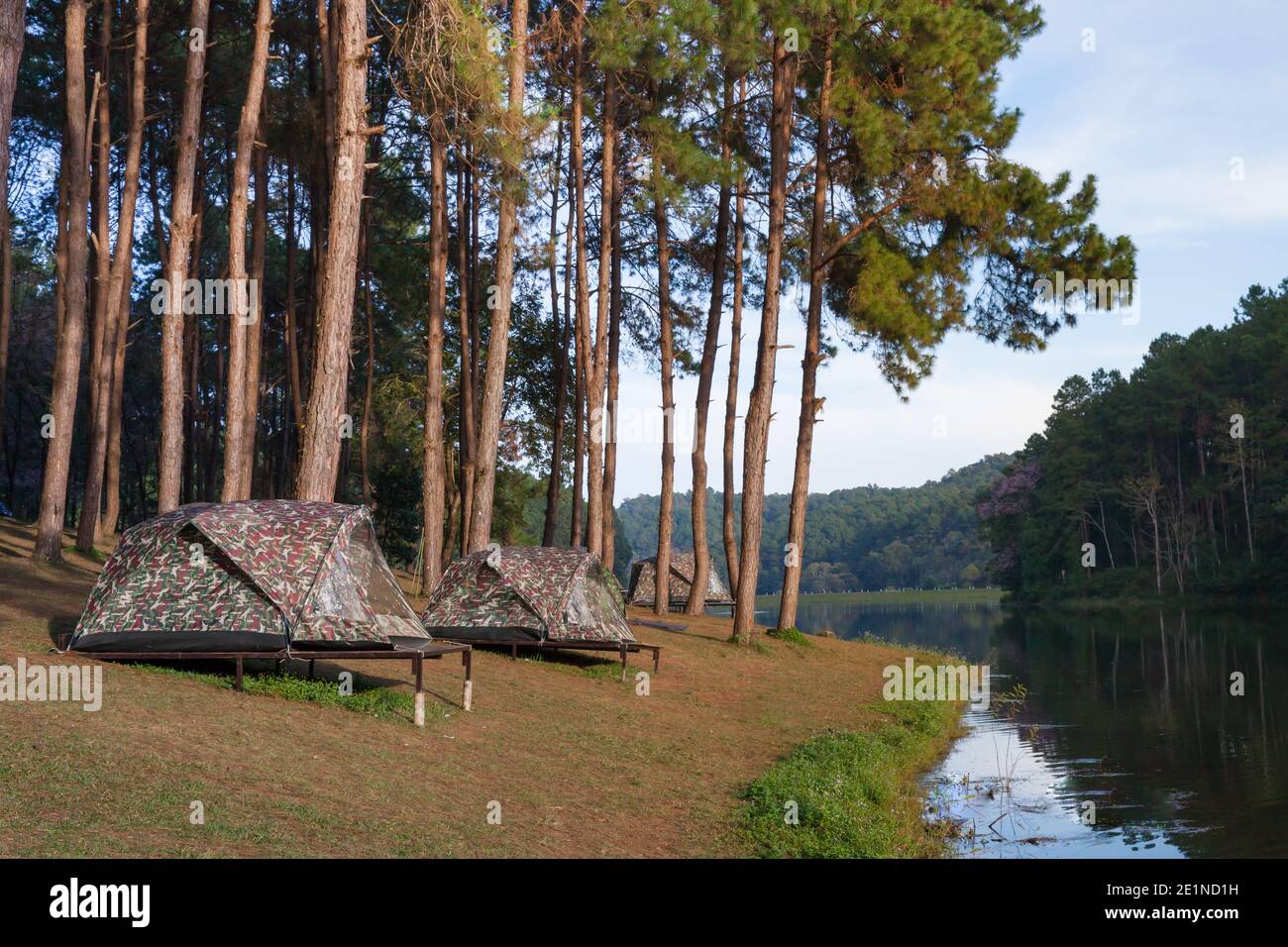 Camping tent on green grass field under trees Stock Photo - Alamy