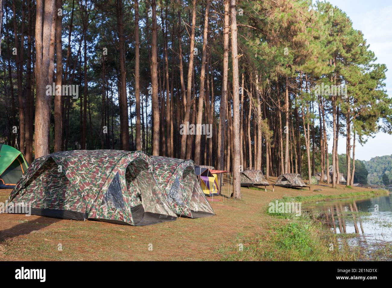 Family camping under trees hi-res stock photography and images - Alamy