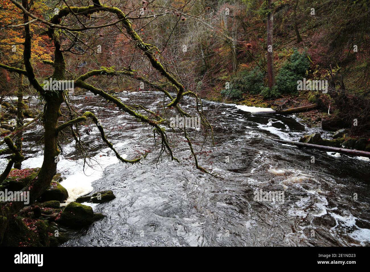 Telford park inverness hi-res stock photography and images - Alamy