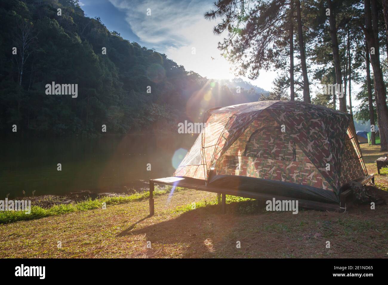 Family camping under trees hi-res stock photography and images - Alamy