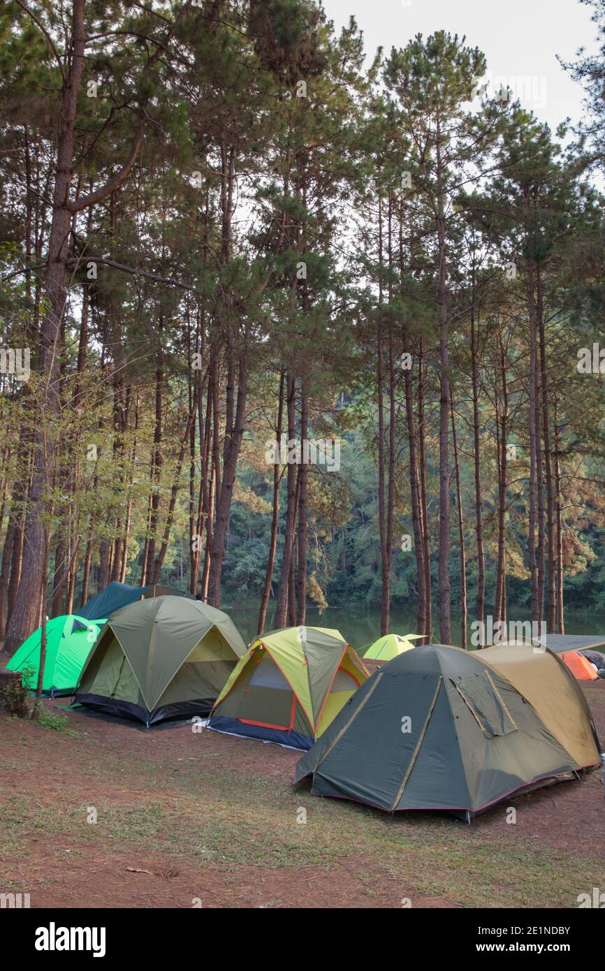 Camping tent on green grass field under trees Stock Photo - Alamy