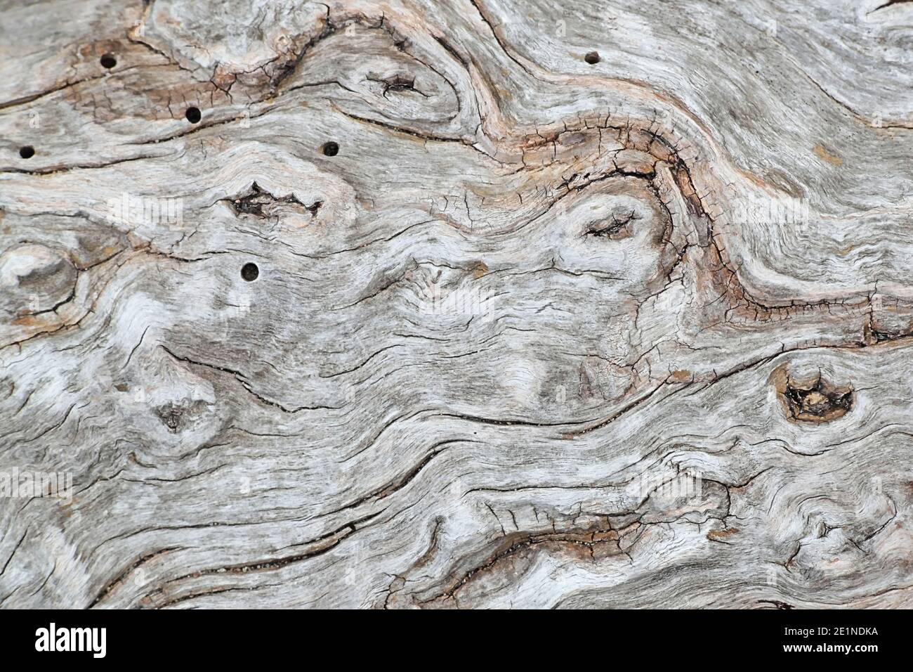 Driftwood Texture