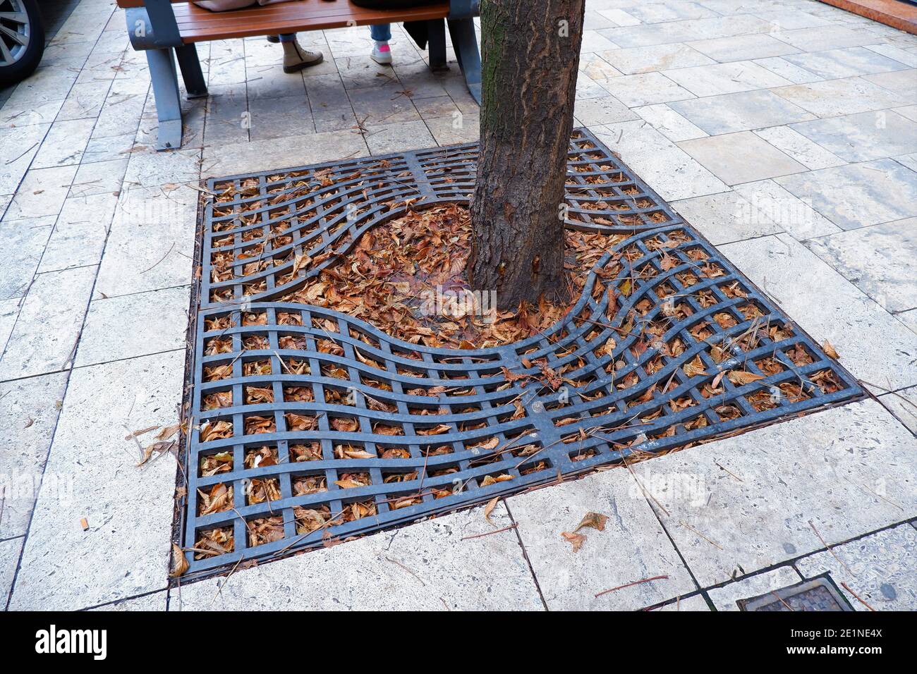 Drainage metal grid on the paving stone around a tree trunk in Budapest ...